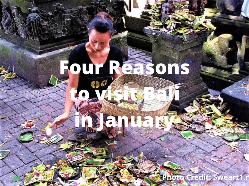 Why You Should Visit Bali in January [2023] - Accidental Travel Writer